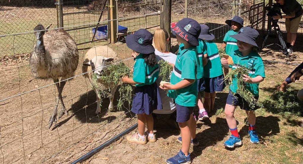 The Sunshine Coast early learning centre educating kids in nature ...