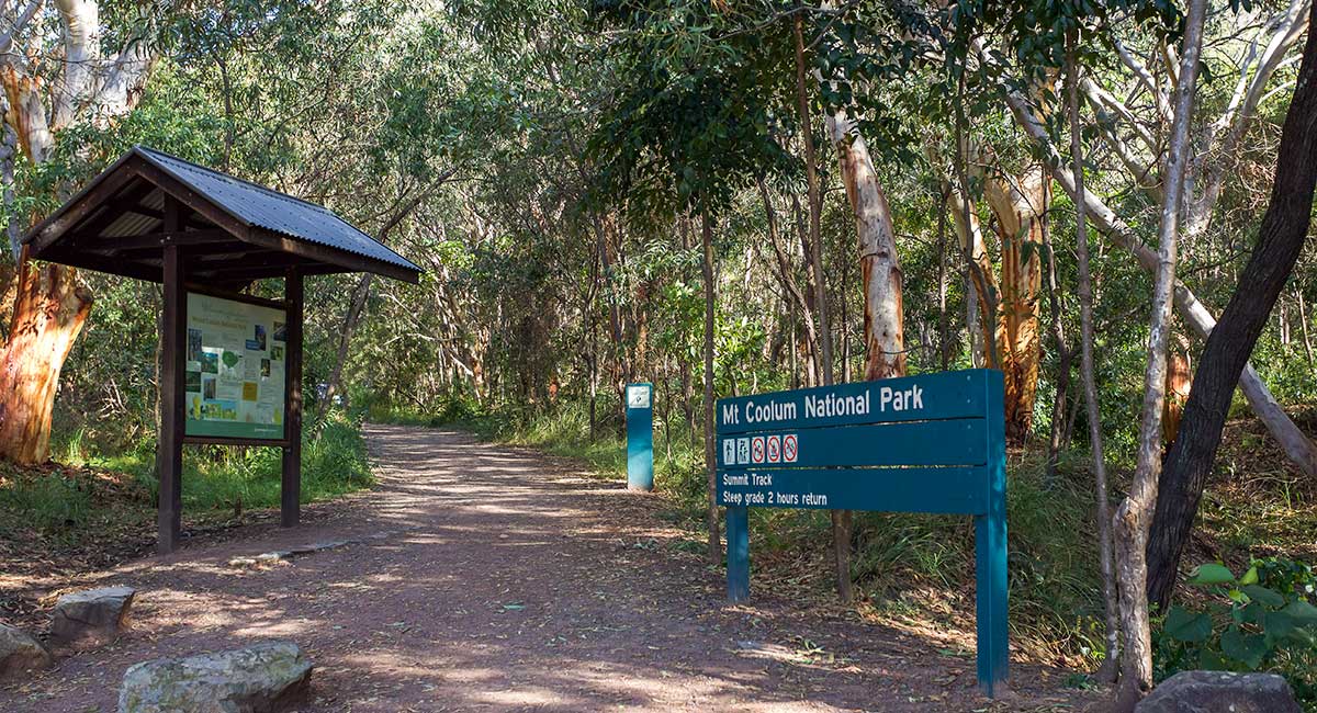 Climbing Mount Coolum with kids | Kids in Brisbane, Gold Coast ...