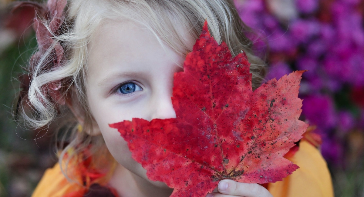10 Nature based Activities You Can Enjoy Without Having To Leave Home 10 Nature based Activities You Can Enjoy Without Having To Leave Home