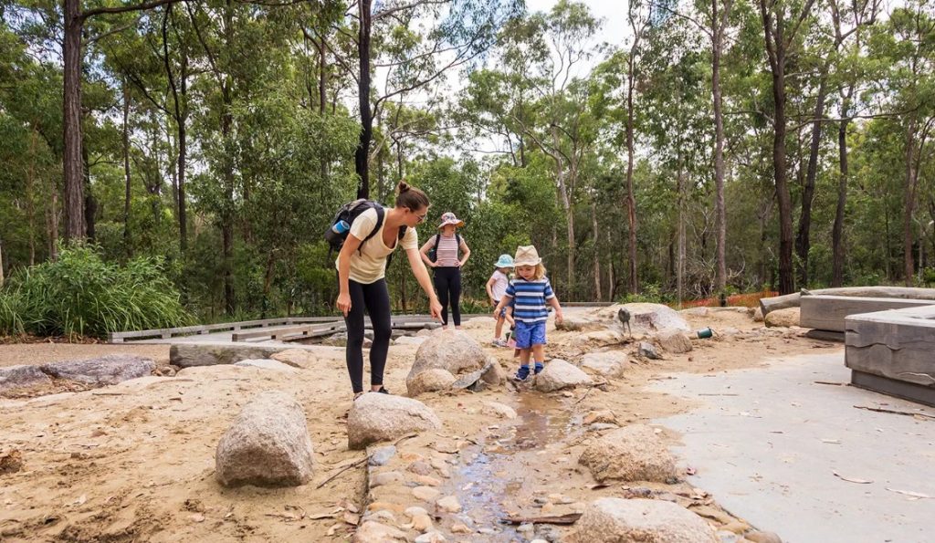 The top 5 natural attractions in Brisbane and surrounds