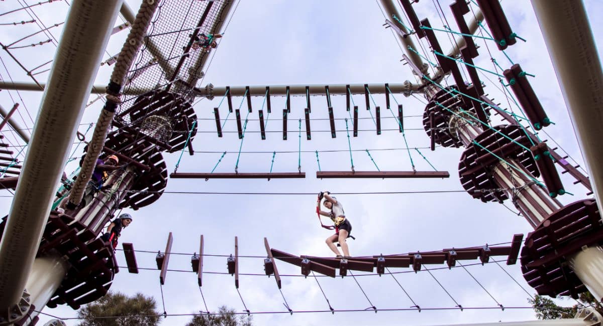 Profile: Next Level High Ropes Adventure Park | Kids in Brisbane, Gold ...