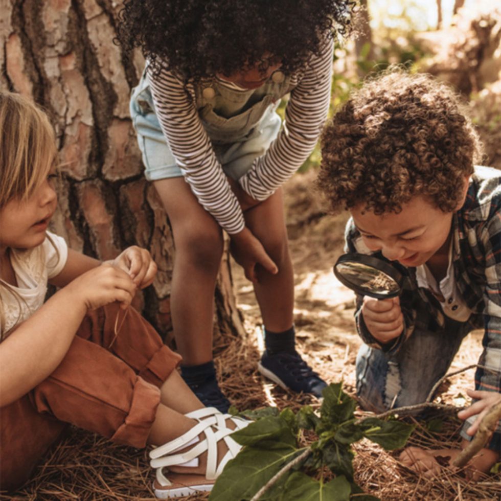 The Sunshine Coast Early Learning Centre where you can rewild your child | Kids in Brisbane ...