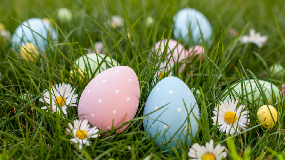 Our favourite Sunshine Coast school holiday activities this Easter