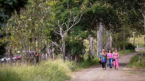 Alpaca Selfies and Goat Giggles: Scenic Rim Farm Gate Trail for kids