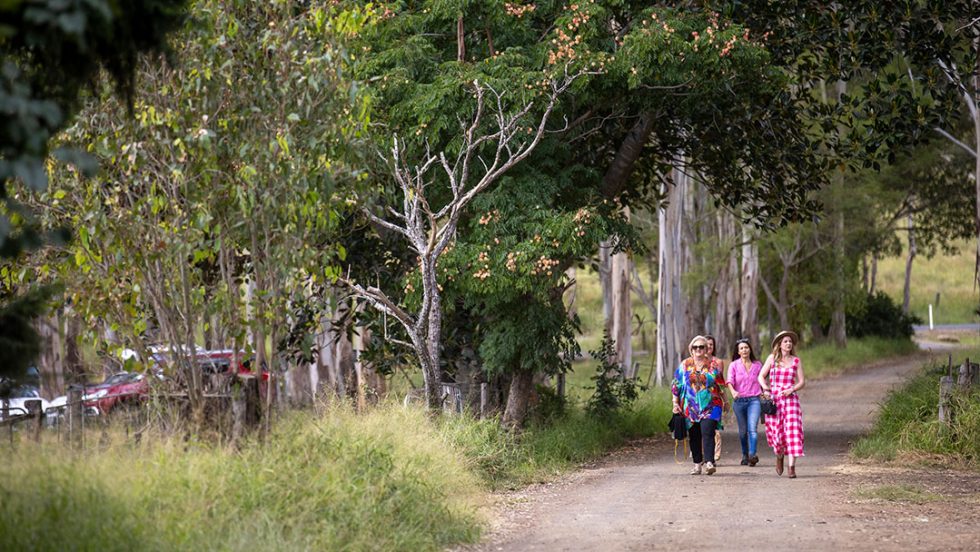 Alpaca Selfies and Goat Giggles: Scenic Rim Farm Gate Trail for kids