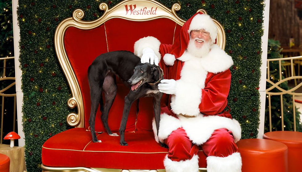 Westfield Santa photos: Bookings open now