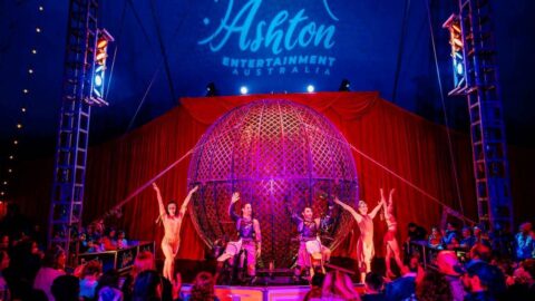 Ashton’s – The Great Australian Circus | Kids in Brisbane, Gold Coast ...