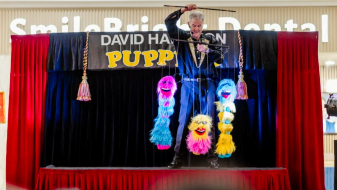David Hamilton Puppet Show | Kids in Brisbane, Gold Coast, Sunshine ...