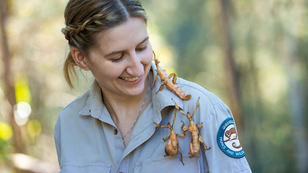 David Fleay Wildlife Park Community Open Day | Kids in Brisbane, Gold ...