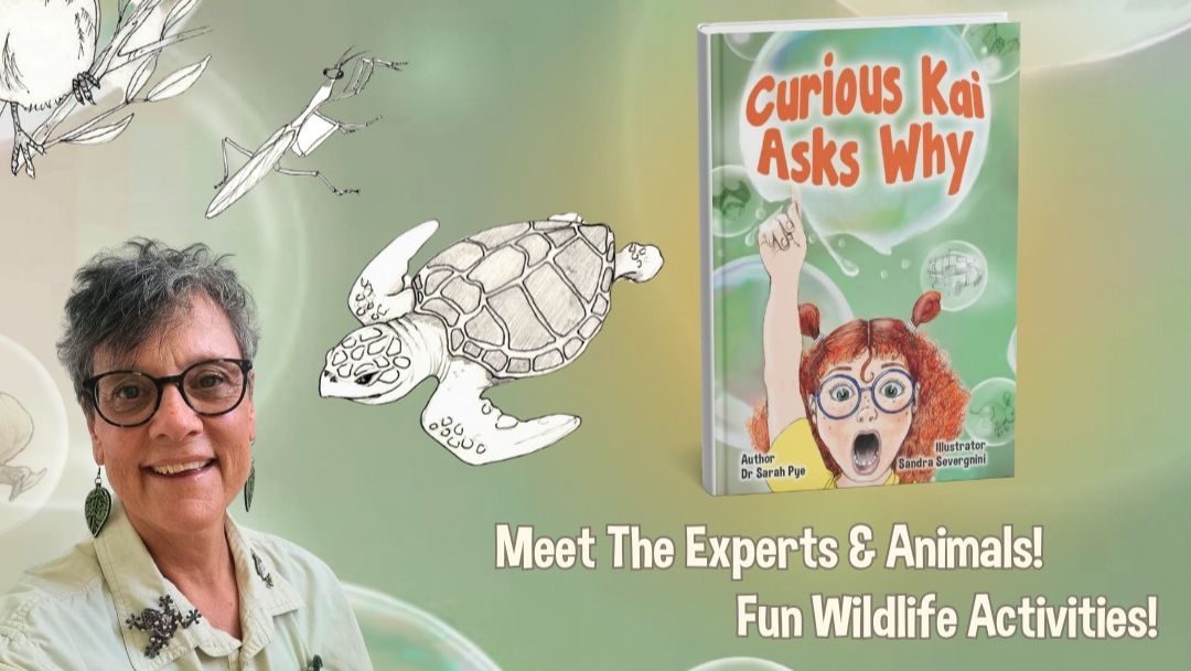 Curious Kai Asks Why – Book Launch with Sarah Pye & Special Guest ...