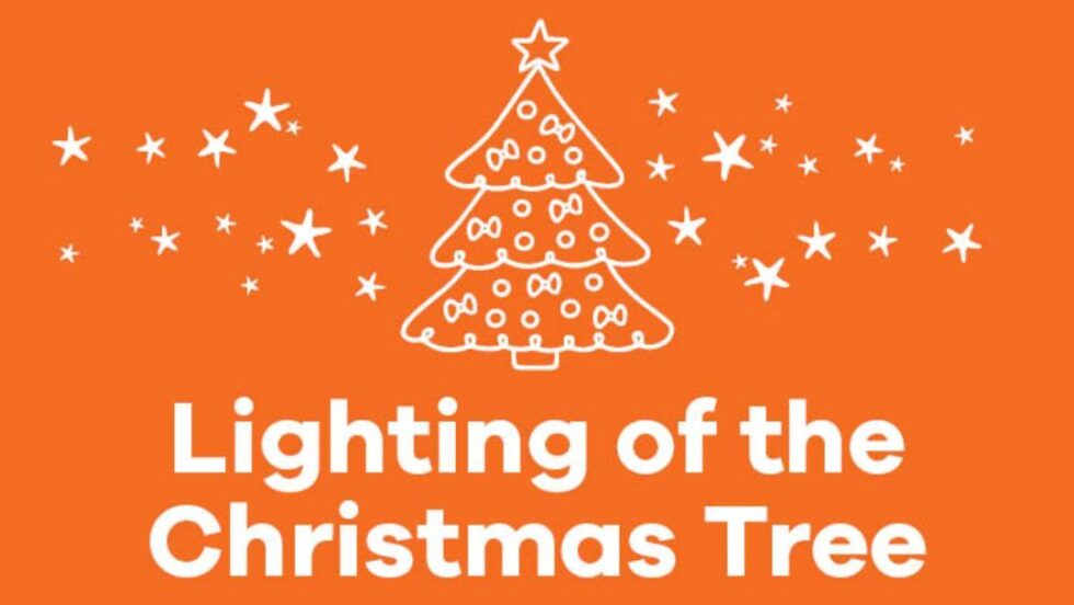 Redlands Lighting of the Christmas Tree | Kids in Brisbane, Gold Coast ...