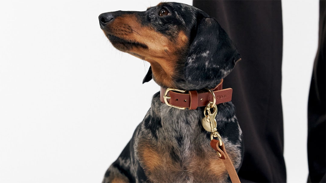 Stay Connected as a Busy Parent: How a 1300 Number Can Help