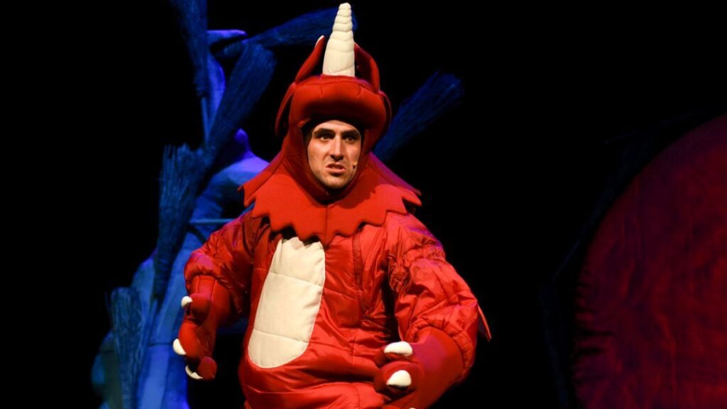 Room on the Broom | Kids in Brisbane, Gold Coast, Sunshine Coast | KOTC