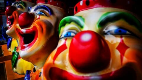 Tamborine Mountain Show | Kids in Brisbane, Gold Coast, Sunshine Coast ...