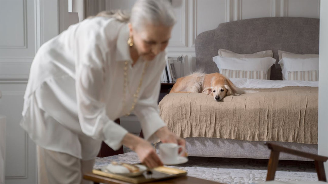Thinking of Getting a Family Dog? What Aussie Parents Should Know First
