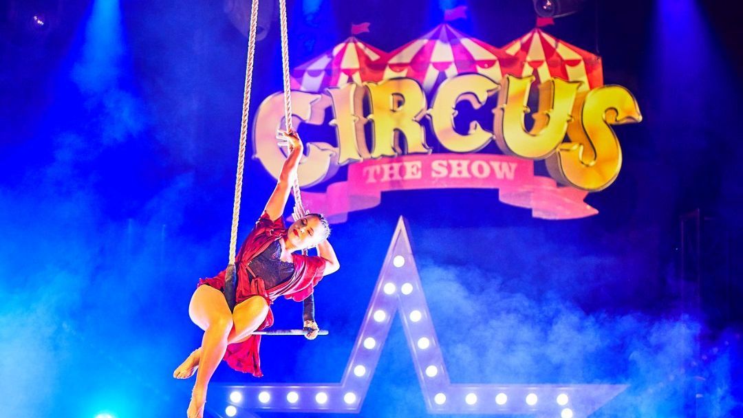 Wynnum Fringe Festival: Circus the Show | Kids in Brisbane, Gold Coast ...